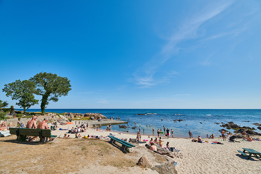 Kan bade igen fra Næs strand