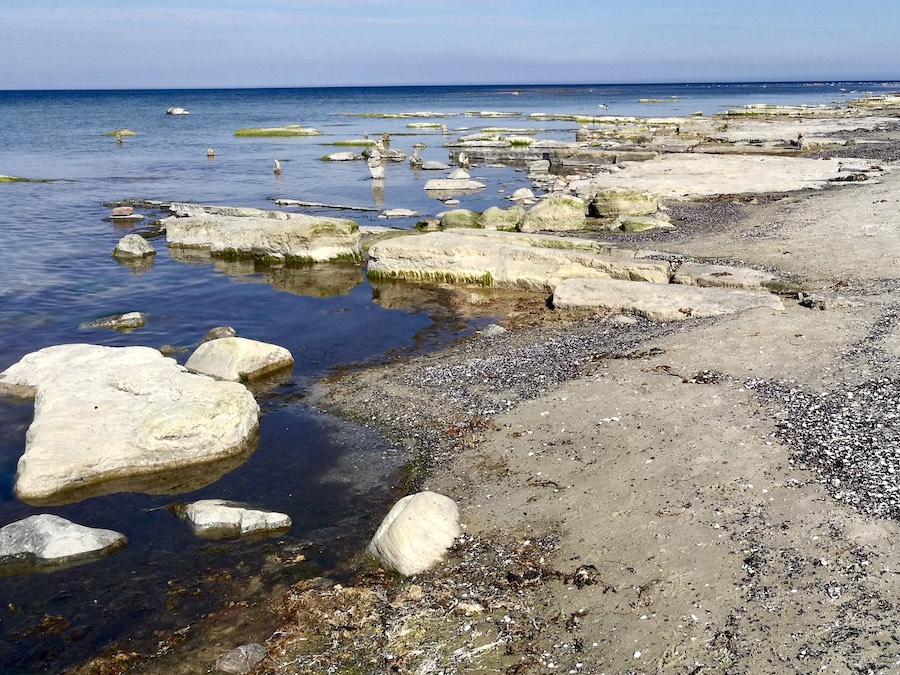 Flere skønne sommerbilleder til fotokonkurrencen