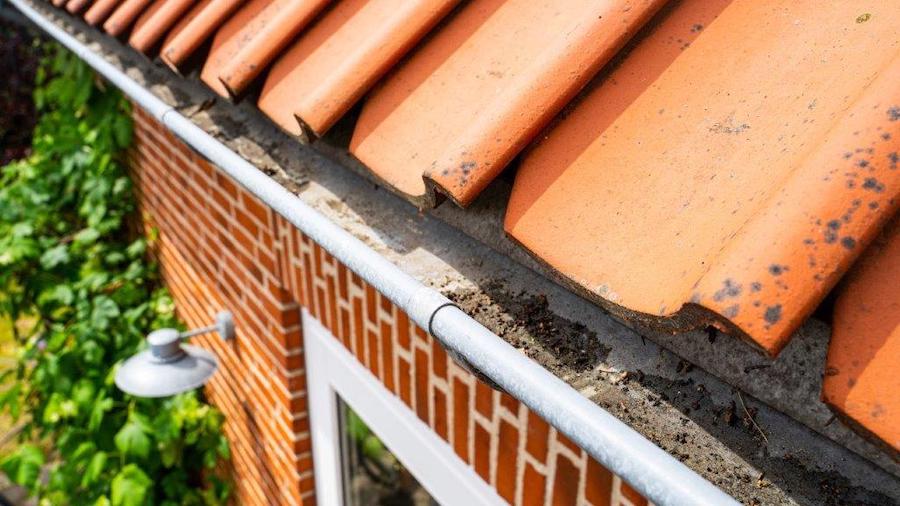 Tænker du på vandmiljøet, når du renser tagrender?